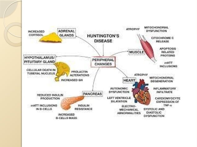 Chapter-4, Biology- Genetics.pptx biology | PPT