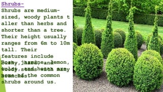 Chapter-4 EVS.. Plants , parts of plants | PPTX