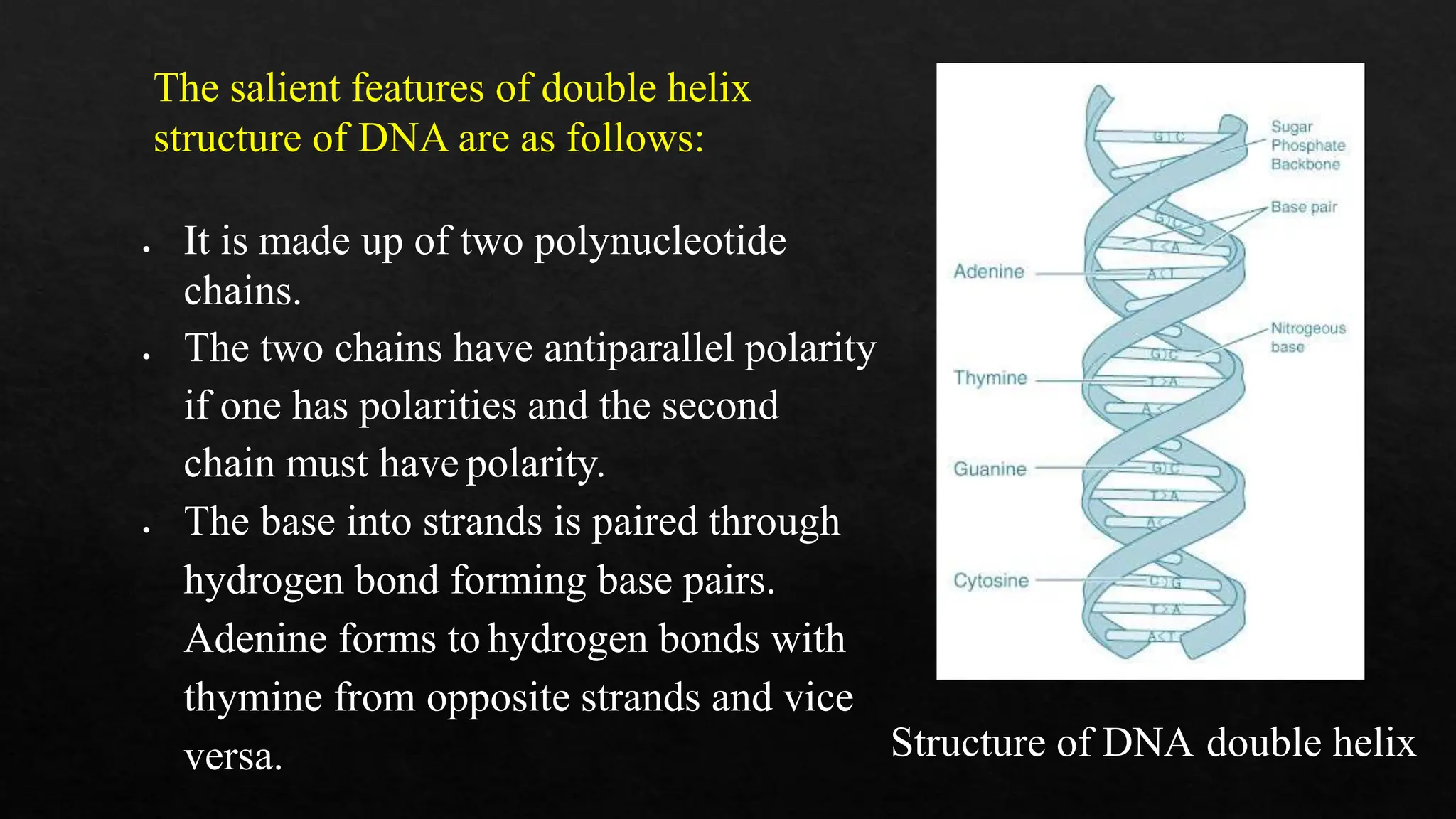 Biochemistry and clinical pharmacy Chapter -5 Nucleic acid | PPTX
