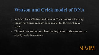 Biochemistry and clinical pharmacy Chapter -5 Nucleic acid | PPTX ...