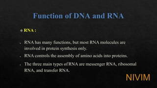 Biochemistry and clinical pharmacy Chapter -5 Nucleic acid | PPTX ...