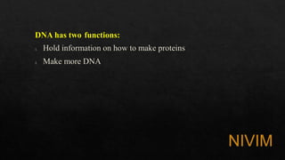 Biochemistry and clinical pharmacy Chapter -5 Nucleic acid | PPTX ...