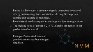 Biochemistry and clinical pharmacy Chapter -5 Nucleic acid | PPTX ...
