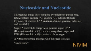 Biochemistry and clinical pharmacy Chapter -5 Nucleic acid | PPTX | Chemistry | Science