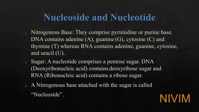 Biochemistry and clinical pharmacy Chapter -5 Nucleic acid | PPTX ...