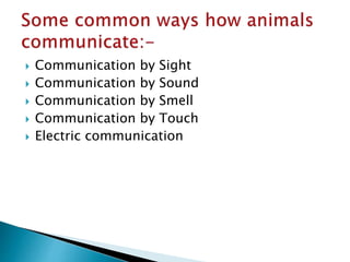 Communication in animals by using their senses | PPTX