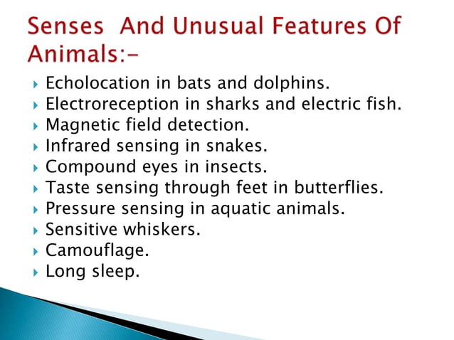 Communication in animals by using their senses | PPTX
