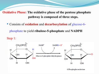 chapter -5.pptx presentation of intermediated metabolism | PPT