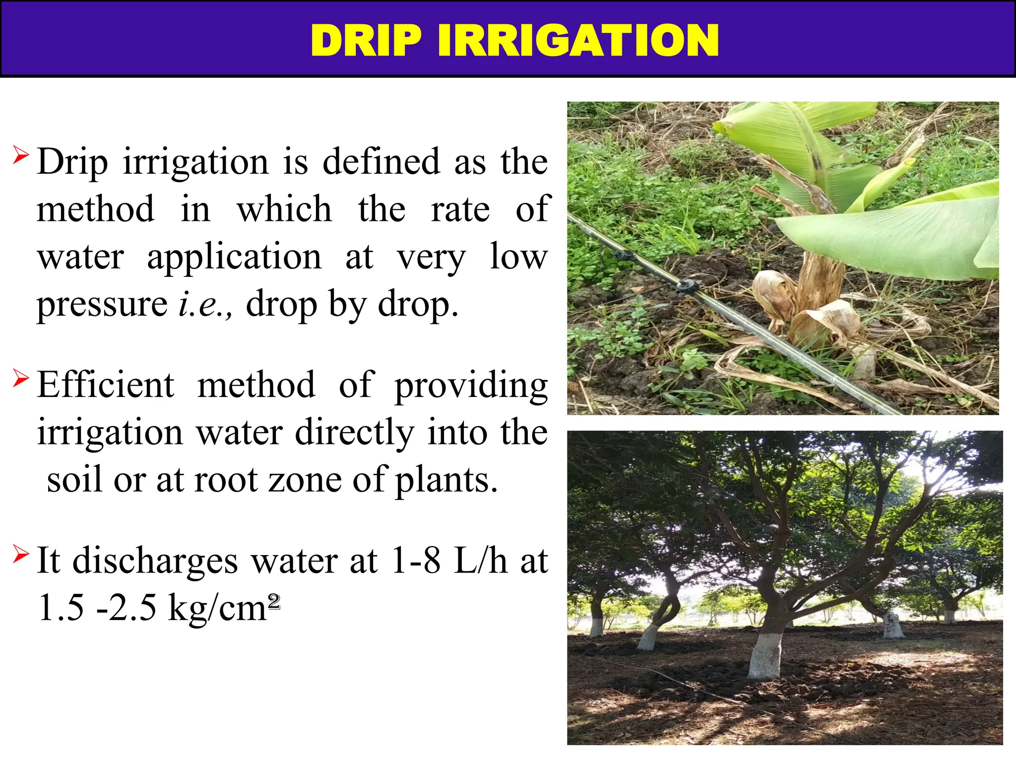 chapter-5.3 -Drip Irrigation.pptCrop Water Requirements.ppt