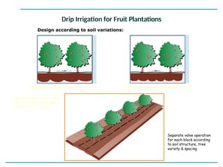 chapter-5.3 -Drip Irrigation.pptCrop Water Requirements.ppt