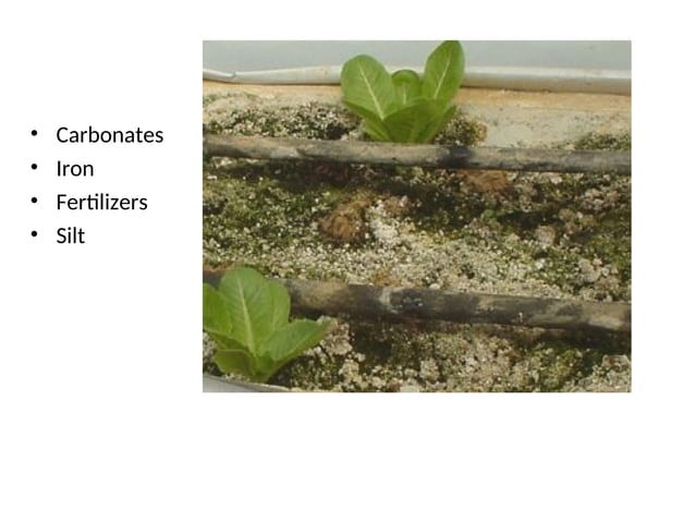 chapter-5.3 -Drip Irrigation.pptCrop Water Requirements.ppt