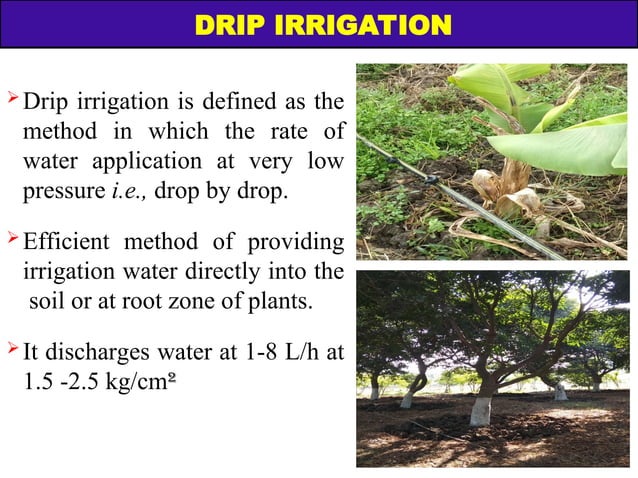 chapter-5.3 -Drip Irrigation.pptCrop Water Requirements.ppt