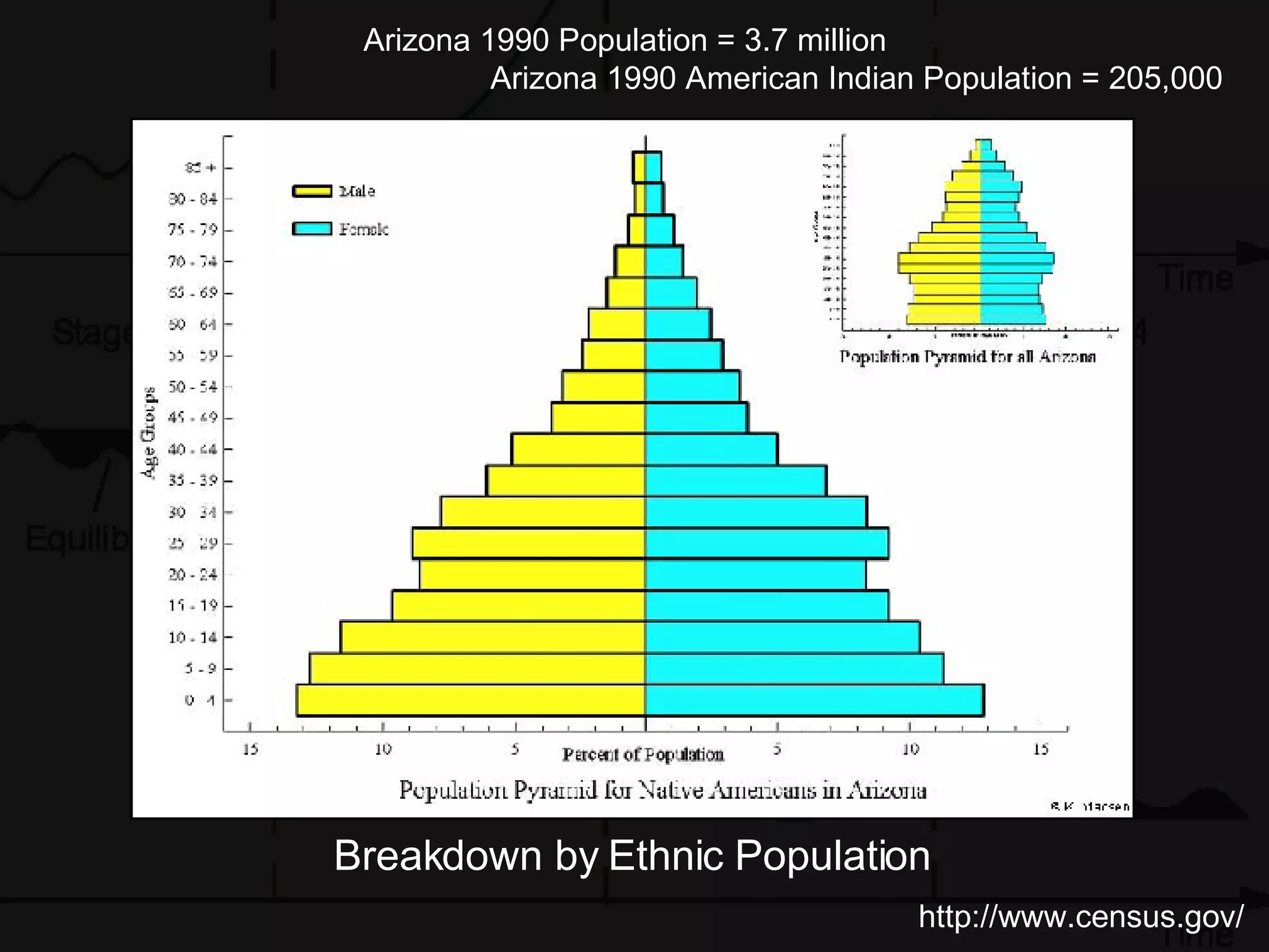 Chapter 5: Hidden Momentum of Population Growth in India | PPT