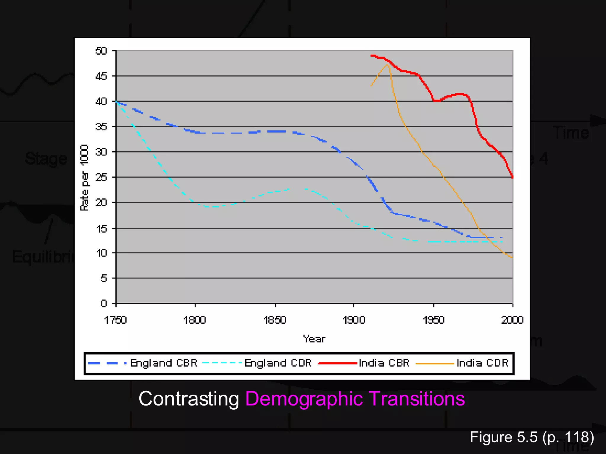 Chapter 5: Hidden Momentum of Population Growth in India | PPT
