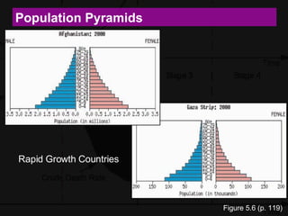Chapter 5: Hidden Momentum of Population Growth in India | PPT