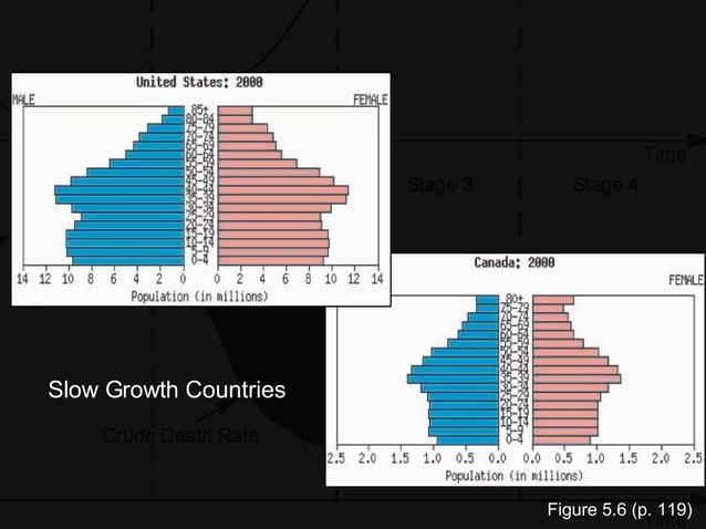 Chapter 5: Hidden Momentum of Population Growth in India | PPT