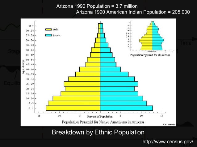 Chapter 5: Hidden Momentum of Population Growth in India | PPT