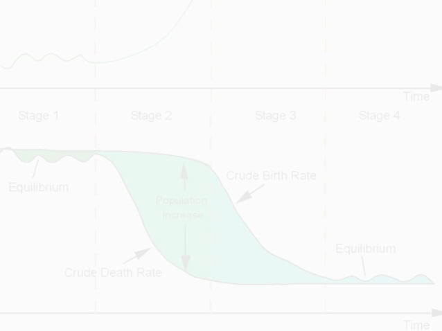 Chapter 5: Hidden Momentum of Population Growth in India | PPT