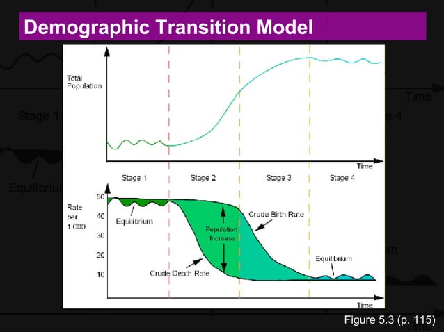 Chapter 5: Hidden Momentum of Population Growth in India | PPT