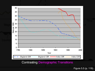 Chapter 5: Hidden Momentum of Population Growth in India | PPT