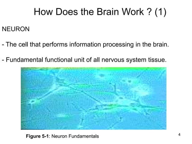 Chapter-5-Part I-Basics-Neural-Networks.pptx