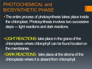 Chapter-5-Photosynthesis stages and growth | PPTX
