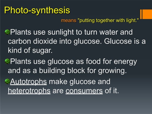 Chapter-5-Photosynthesis stages and growth | PPT