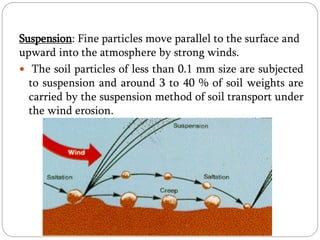 Wind erosion and it's control | PPTX