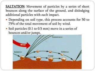 Wind erosion and it's control | PPTX
