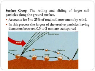 Wind erosion and it's control | PPTX