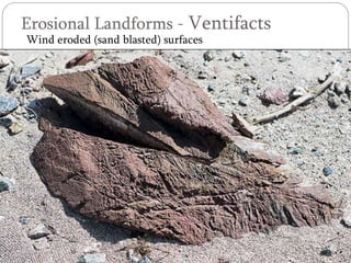 Wind erosion and it's control | PPTX | Landscaping | Home & Garden