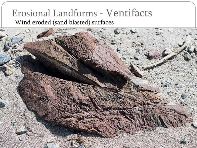 Wind erosion and it's control | PPTX | Landscaping | Home & Garden