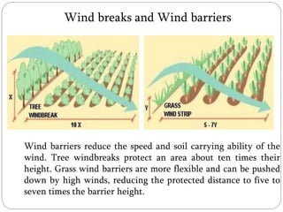 Wind erosion and it's control | PPTX