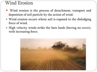 Wind erosion and it's control | PPTX