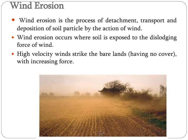 Wind erosion and it's control | PPTX | Landscaping | Home & Garden