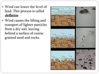 Wind erosion and it's control | PPT