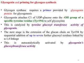 chapter-6.pptx glycogen membrane presentation | PPTX