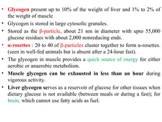 chapter-6.pptx glycogen membrane presentation | PPTX