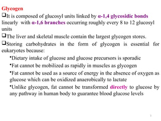 chapter-6.pptx glycogen membrane presentation | PPTX