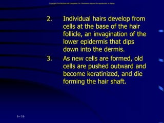 chapter-6-powerpoint-le.ppt