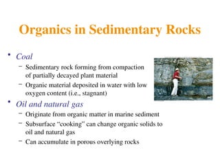 chapter-6-sedimentary-rocks-1-2-2_1669748863638.ppt