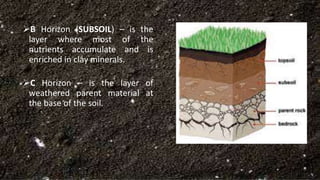 CHAPTER-6-soil.pptx