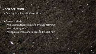 CHAPTER-6-soil.pptx