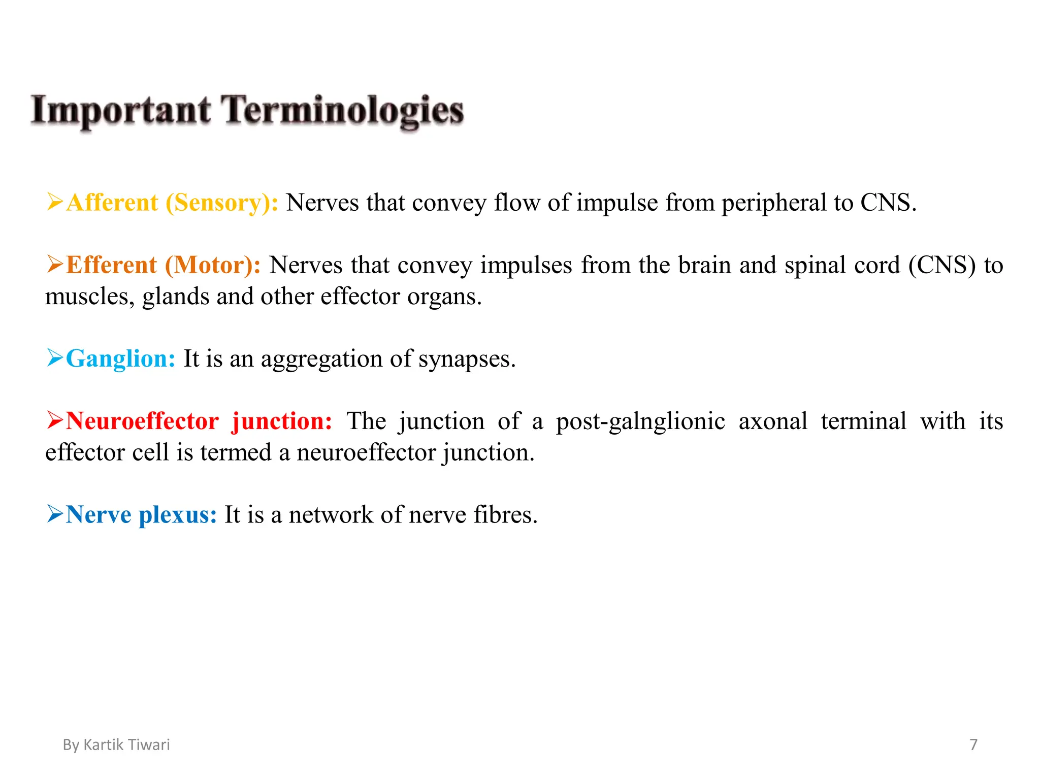 Chapter-6 Automonic Nervous System (Kartik Tiwari).pdf