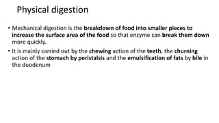 Chapter-6 Nutrition in Mammals. for grade 9ade | PPTX