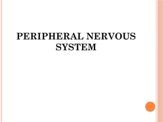nervous system ppt for 11th std students | PPTX