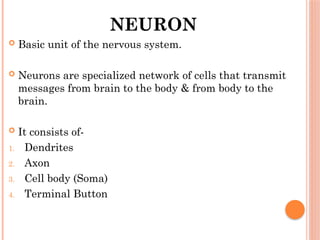 nervous system ppt for 11th std students | PPTX
