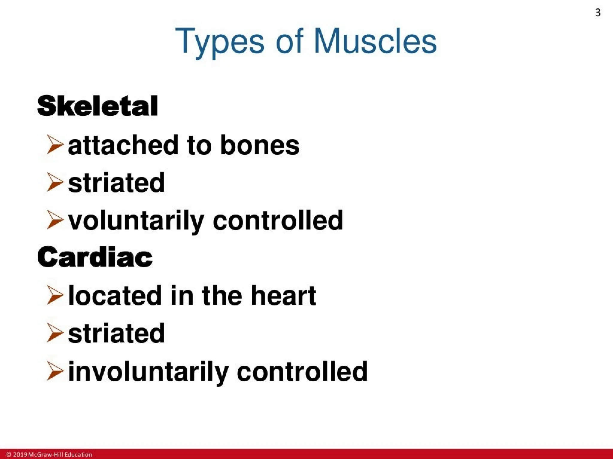 CHAPTER-7-MUSCULAR-SYSTEM.pdf