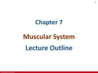 CHAPTER-7-MUSCULAR-SYSTEM.pdf