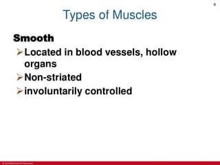 CHAPTER-7-MUSCULAR-SYSTEM.pdf